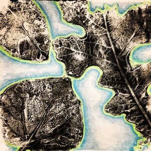 5th grade Botanical Gelli Monoprints | Wow Art Project